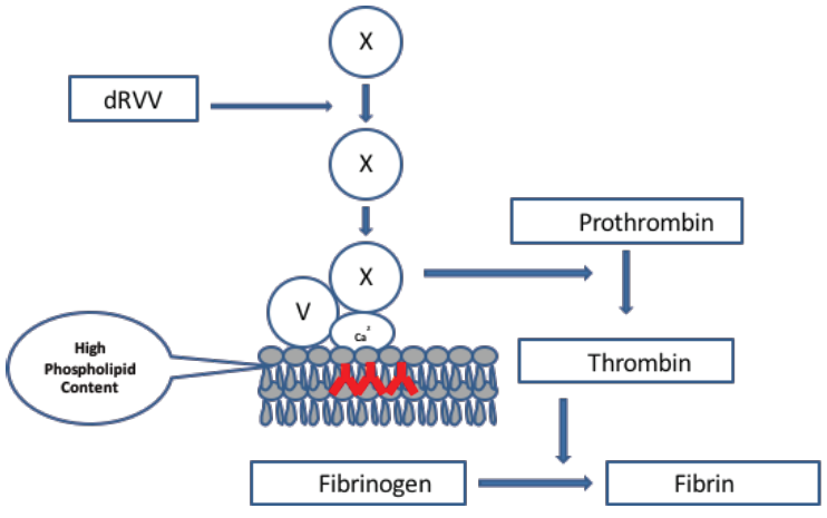 Laboratory Testing for Lupus Anticoagulants :: Transasia Bio-Medicals