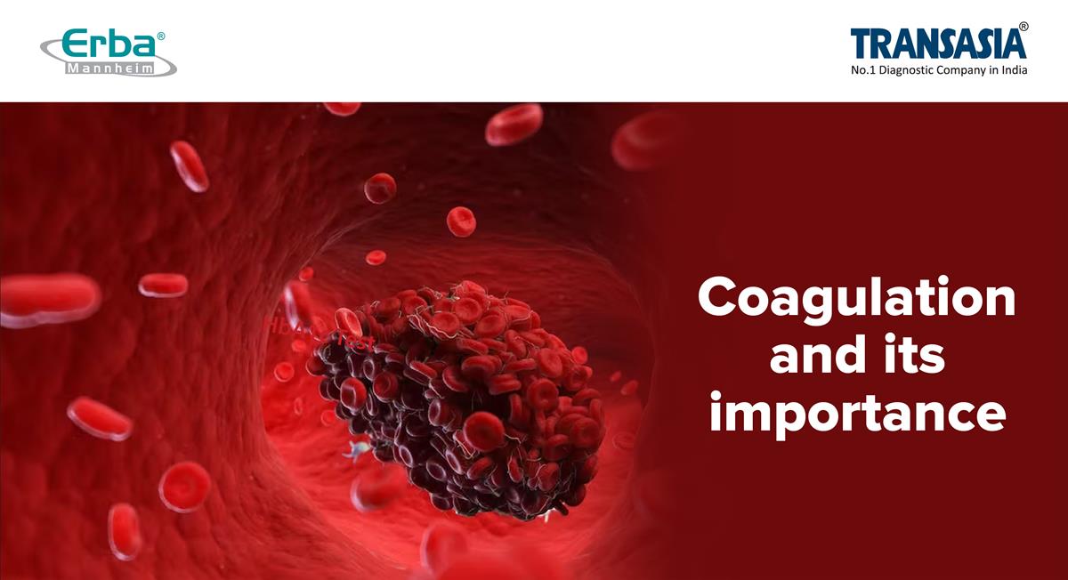 Blog - Coagulation and its importance for the body :: Transasia Bio ...